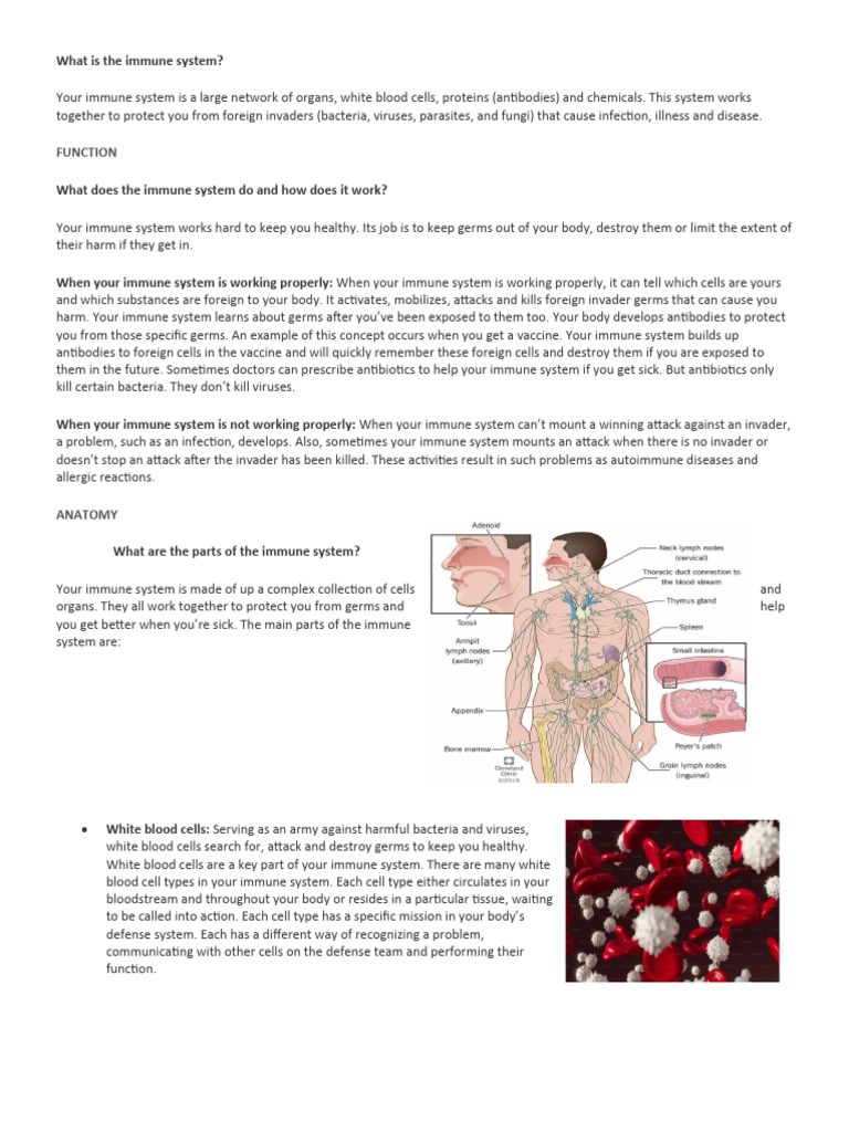 Understanding the Immune System Basics | PDF | Immune System ...