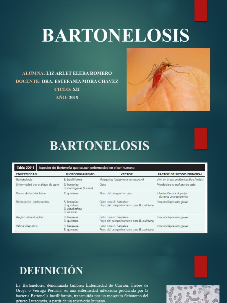 BARTONELOSIS | PDF | Causas de la muerte | Enfermedades y trastornos
