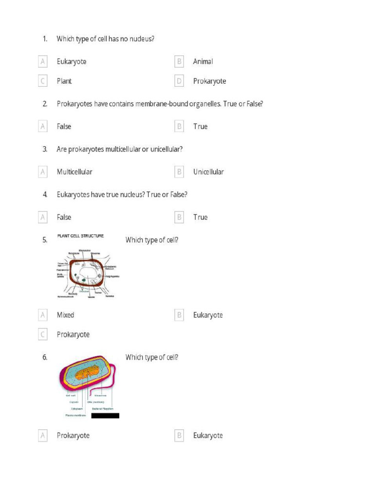 Cell Structure HW | PDF