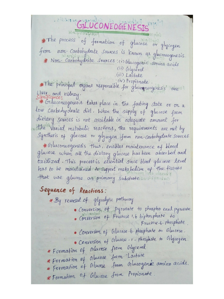 15 Mark Question - Gluconeogenesis Process and The Action of Key ... 15 Mark Question - Gluconeogenesis Process and The Action of Key ...