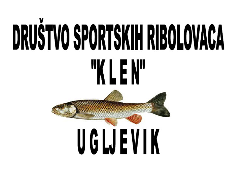 Klen 2 | PDF