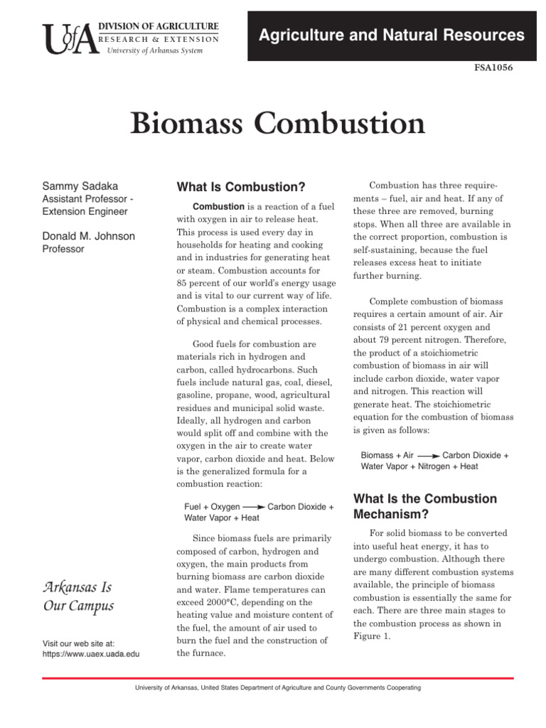 Understanding Biomass Combustion | PDF | Combustion | Stove