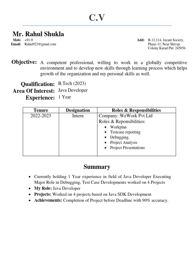 Template CV | PDF | Computing | Behavior Modification