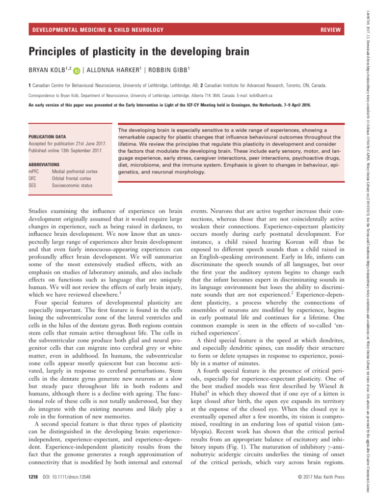 Develop Med Child Neuro - 2017 - Kolb - Principles of Plasticity in The Developing Brain | PDF ...