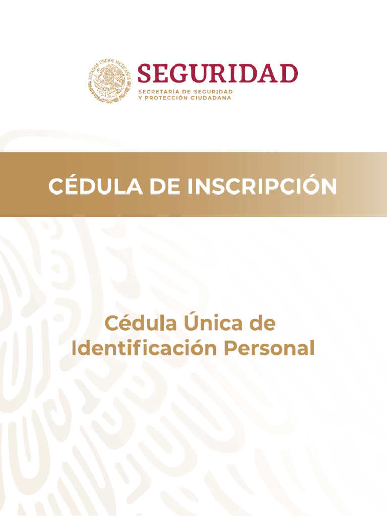 Cuip CSCP 2020 | PDF