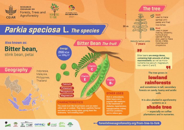 Bitter Bean Benefits | PDF | Crops | Edible Plants