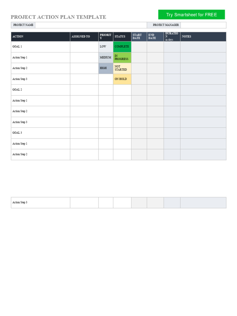 Project Action Plan Template | PDF