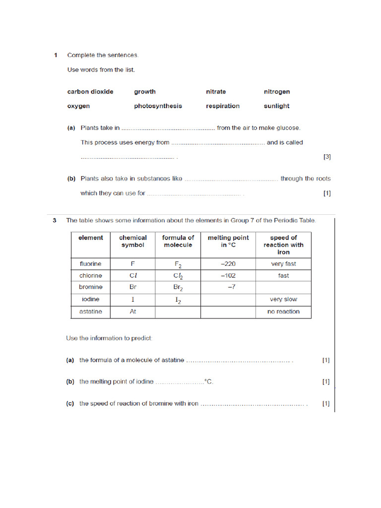 Class 8 Work Sheet - 2 | PDF