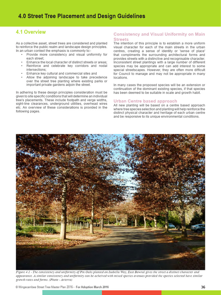 Street Tree Placement and Design Guidelines | PDF | Street | Road