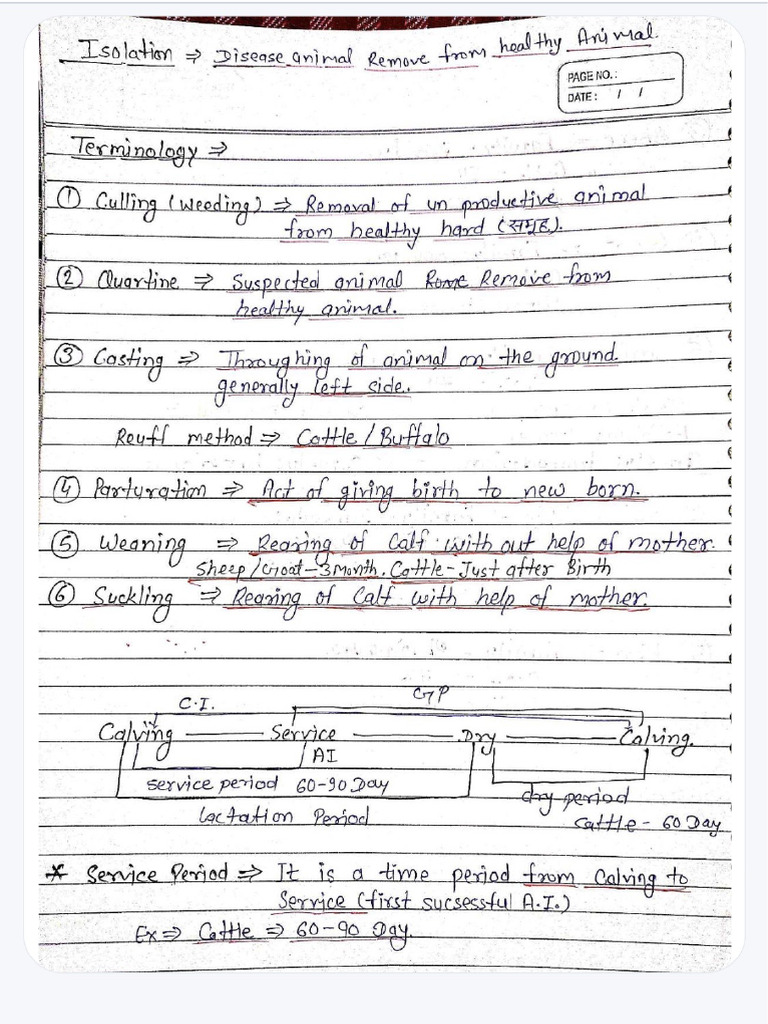 Isolation Disease Animal Remove From Healthy Animal | PDF