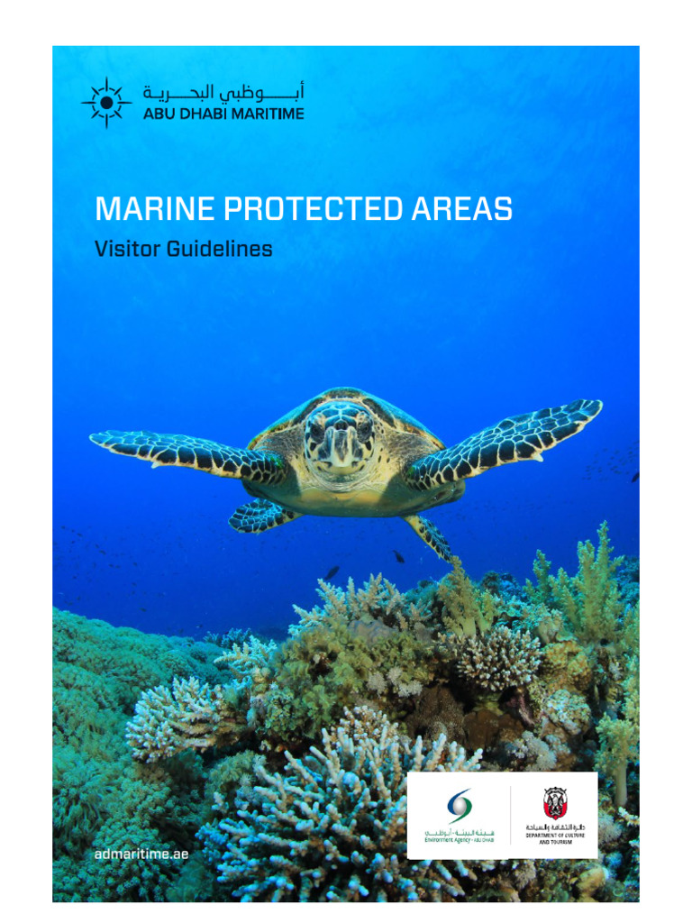 Open Abu Dhabi Maritime Mpa Guide 2020 | PDF | Anchor | United Arab ...