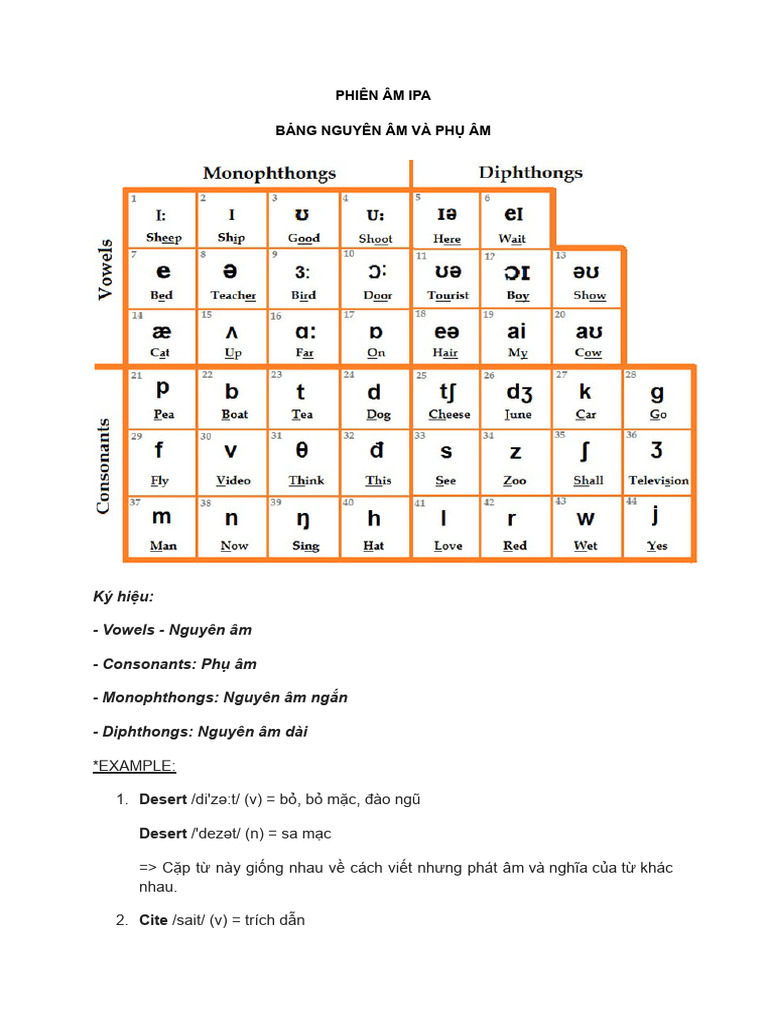 Phiên Âm Ipa | PDF