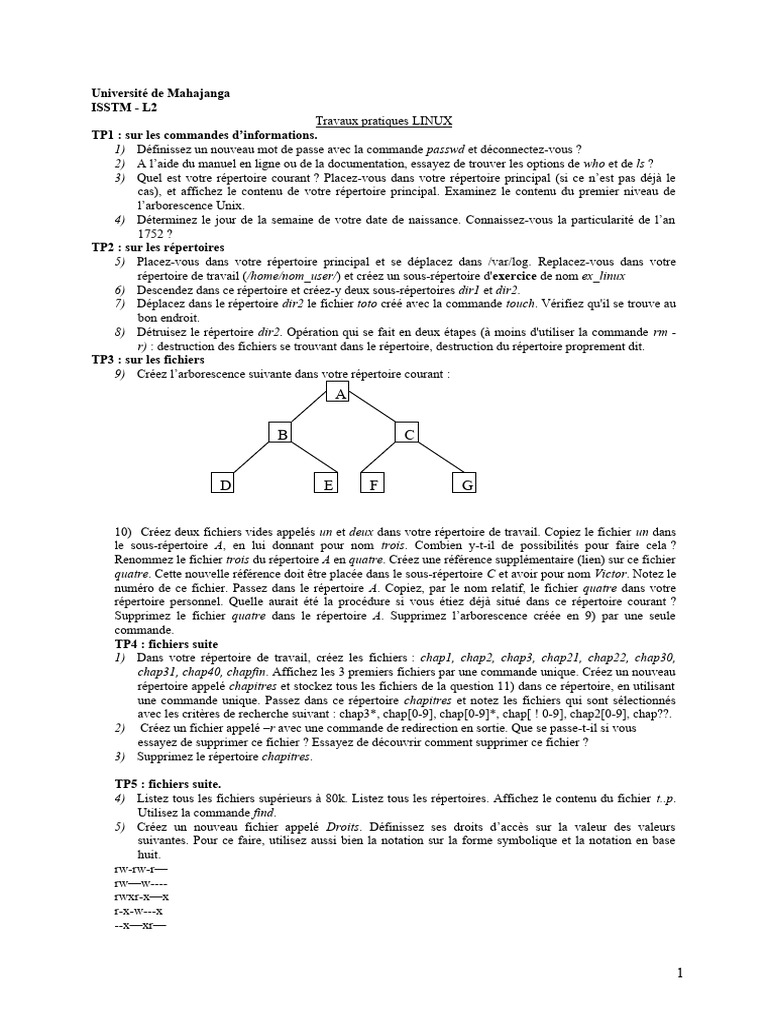 TP Linux 2021 | PDF | Fichier texte | Fichier informatique