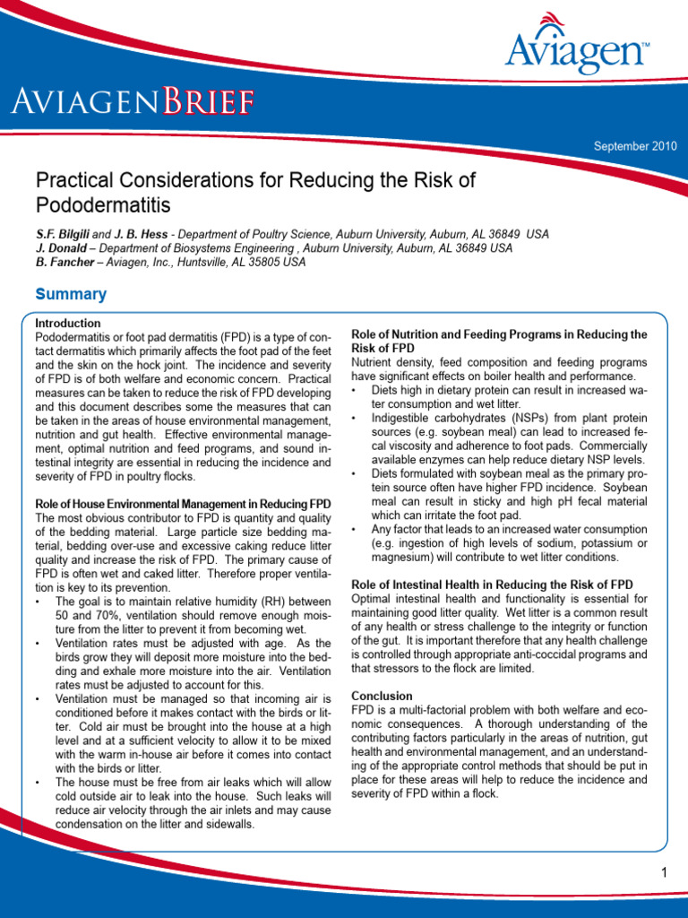 Pododermatitis Sept 2010 FINAL | PDF | Humidity | Broiler