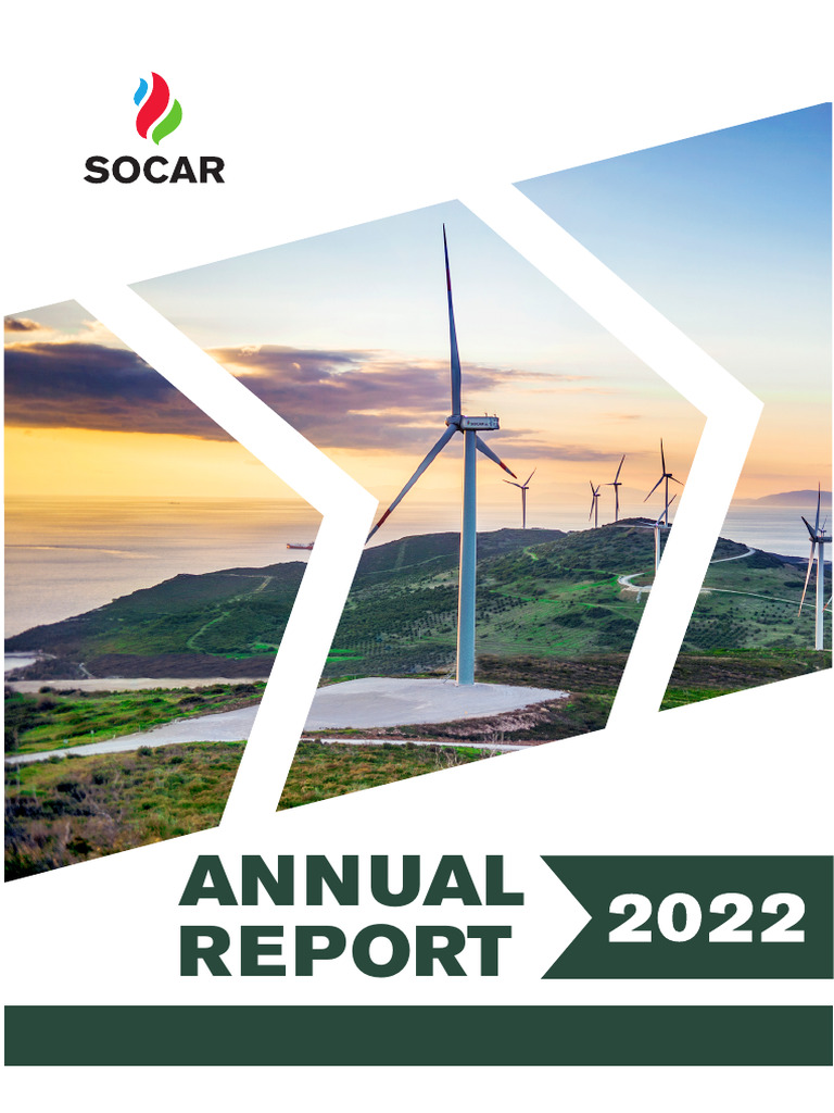 Annual Report 2022 | PDF