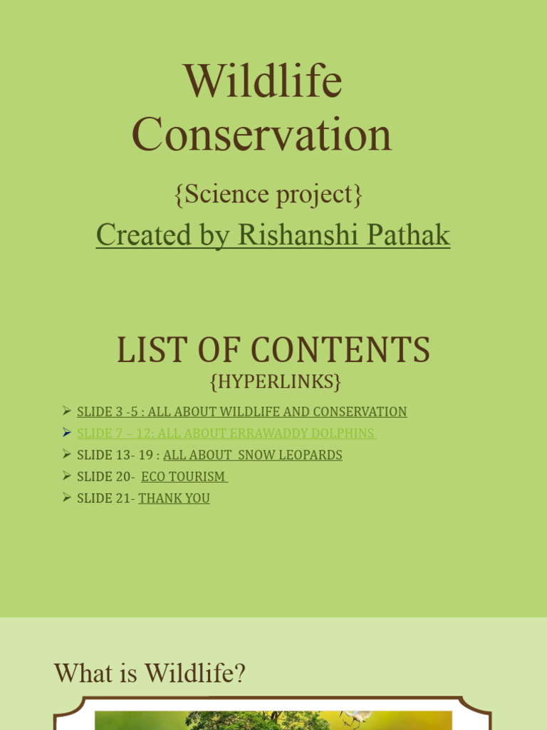 Wildlife Conservation - SCI PROJECT | PDF | Wildlife | Leopard