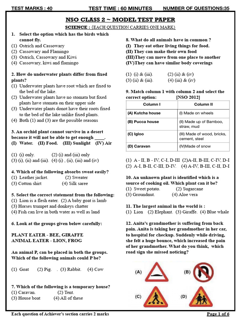 Class 2 Nso Paper | PDF | Grandparent