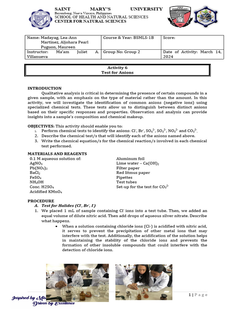 Lab Activity 6 Test For Anions | PDF | Precipitation (Chemistry) | Acid