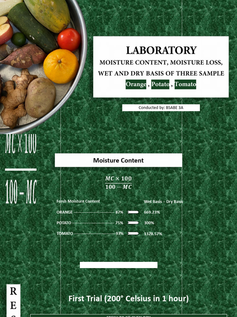 Prop Lab Report 041758 | PDF | Orange (Fruit) | Tomato