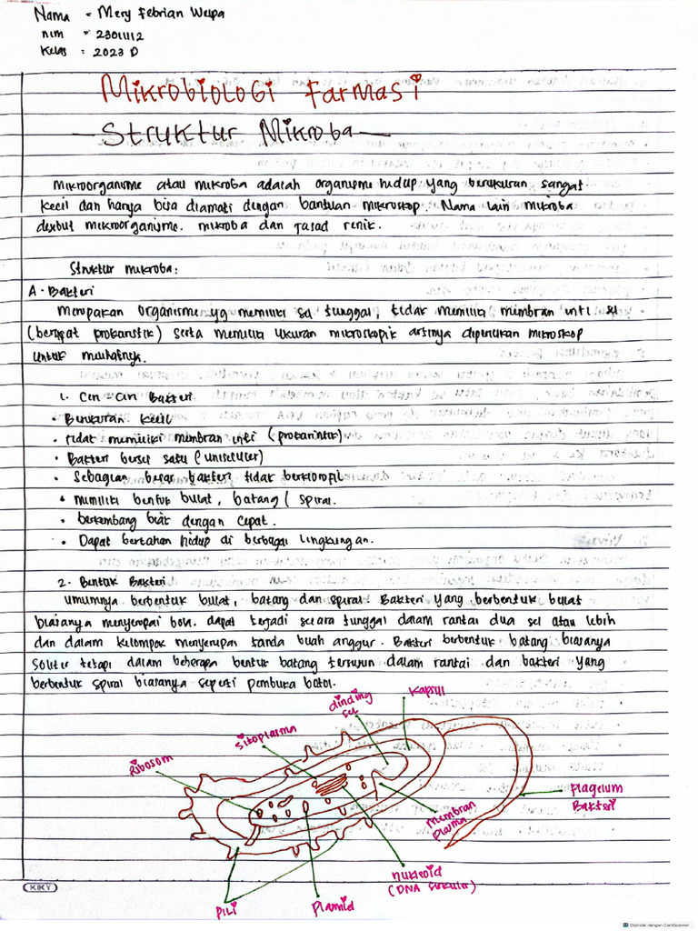 Struktur Mikroba | PDF