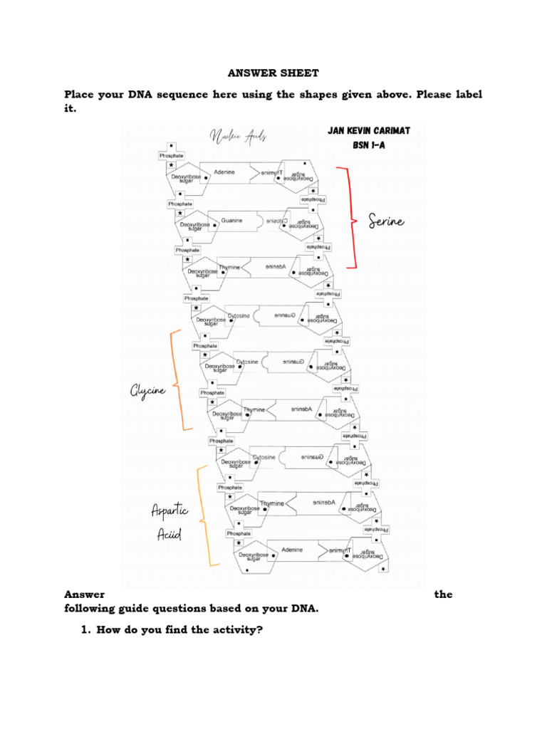 Answer Sheet | PDF | Nucleic Acid Sequence | Dna