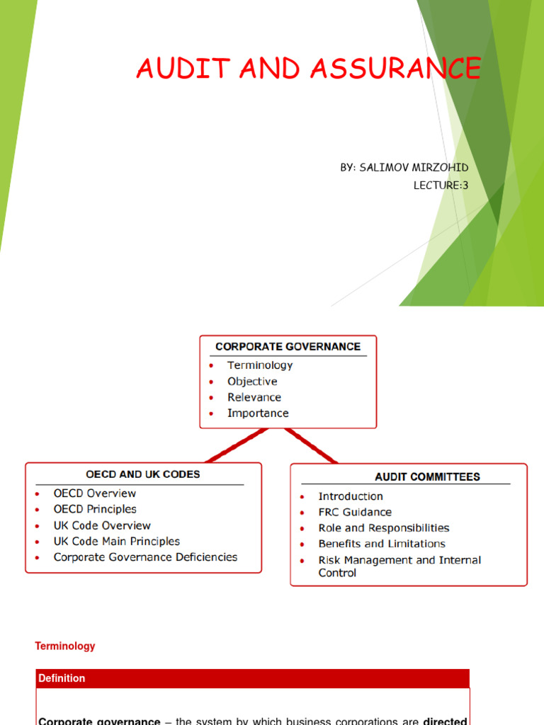 Audit Committee Roles in Governance | PDF | Audit | Corporate Governance
