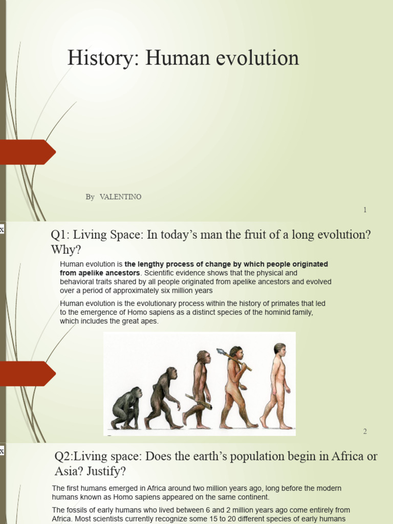 History Human Evolution V2 | PDF | Paleolithic | Human