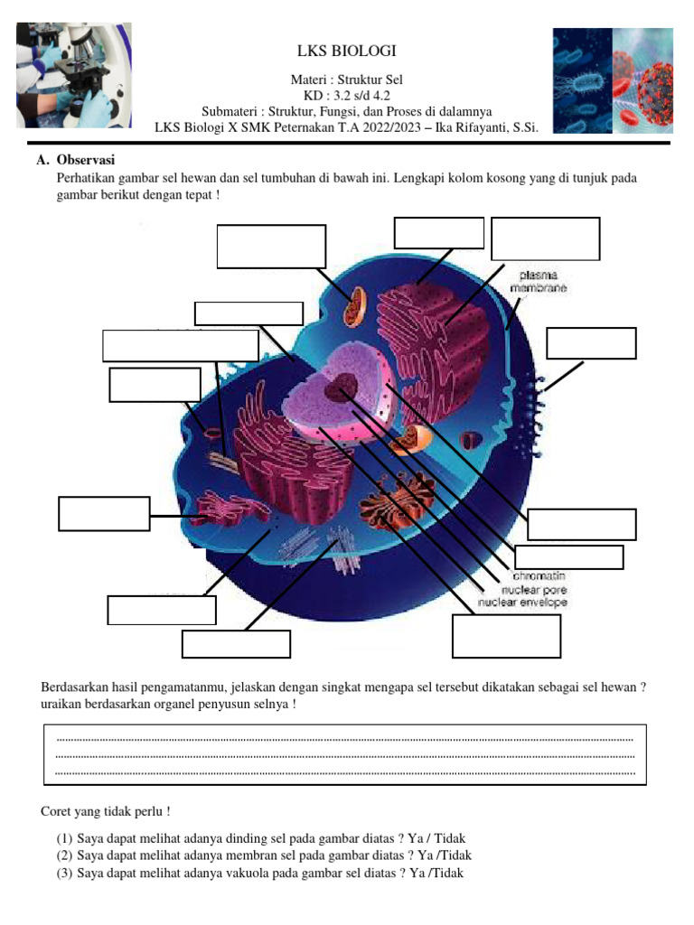 LKS Organel Sel | PDF | Sains & Matematika