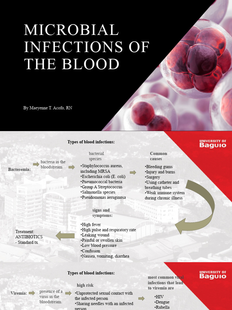 Blood Infection Types and Treatments | PDF | Malaria | Infection