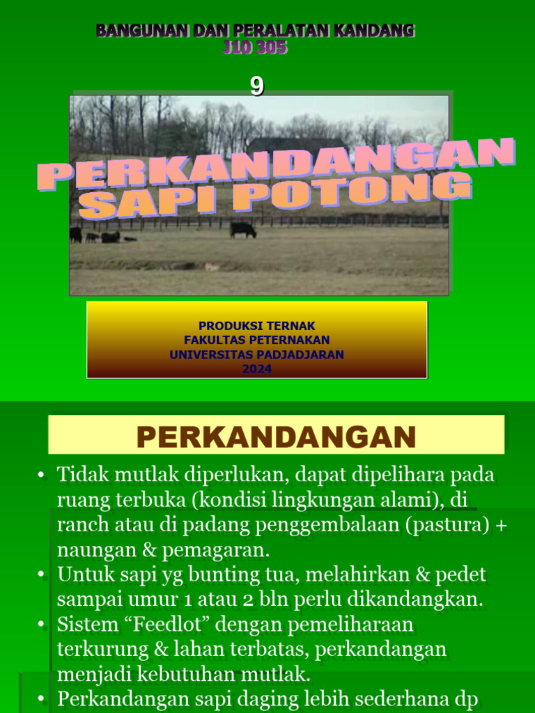 Perkandangan Sapi Potong | PDF
