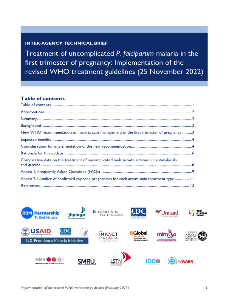 ACT use in first trimester_Interagency Technical Brief | PDF | Malaria | Pregnancy