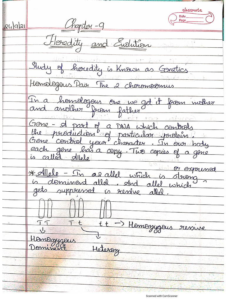 Heredity and Evolution | PDF