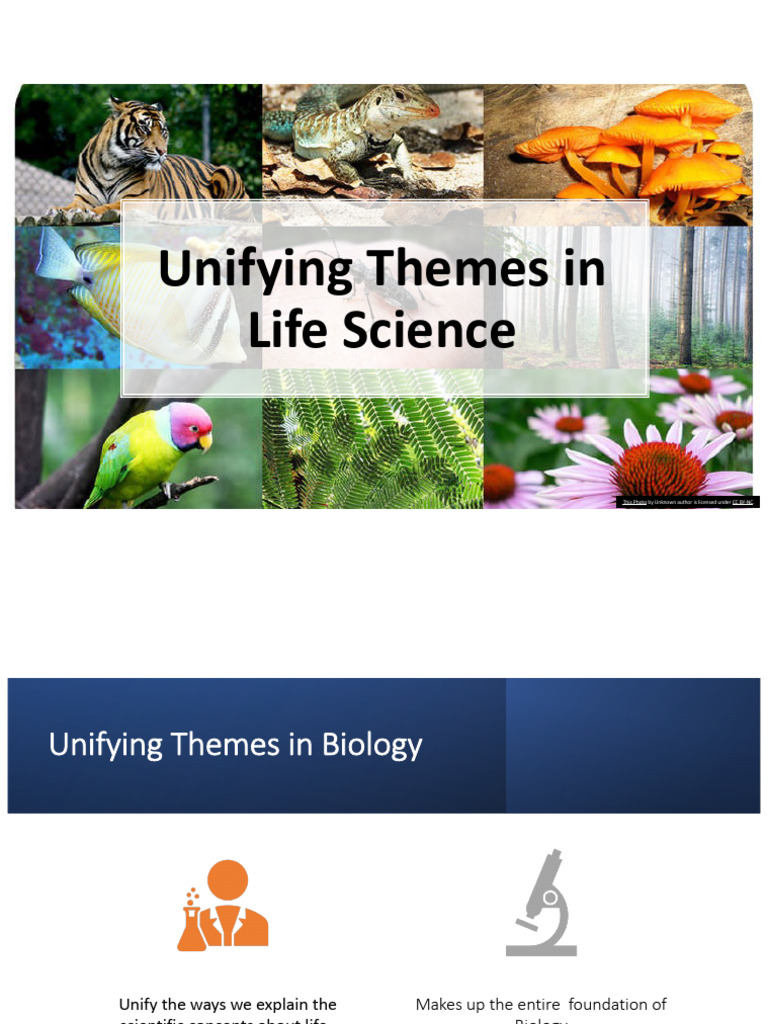 LIFE-SCIENCE-LECTURE-2 (1) | PDF