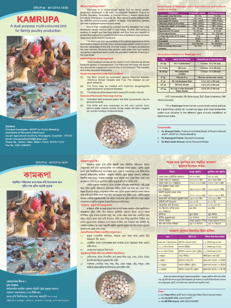 Kamrupa Leafleat | PDF