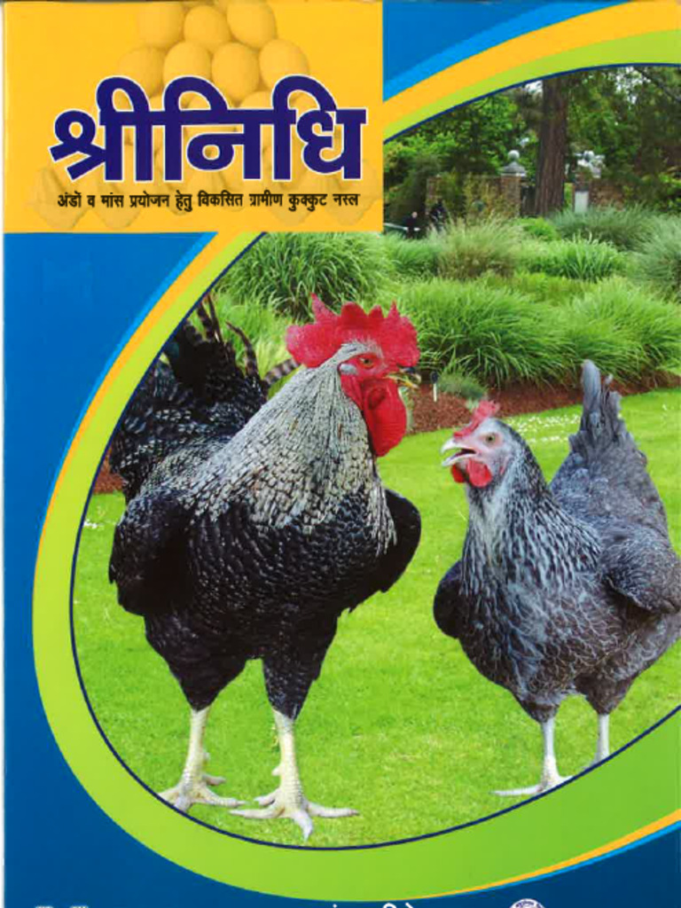 Srinidhi Hindi | PDF