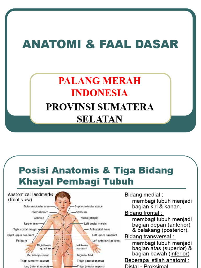 Anatomi & Faal | PDF | Kesehatan Holistik | Sains & Matematika