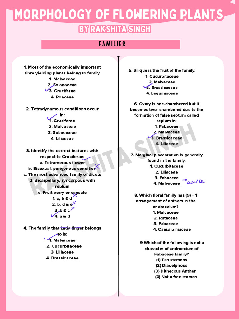 Morphology Families | PDF | Flowers | Petal