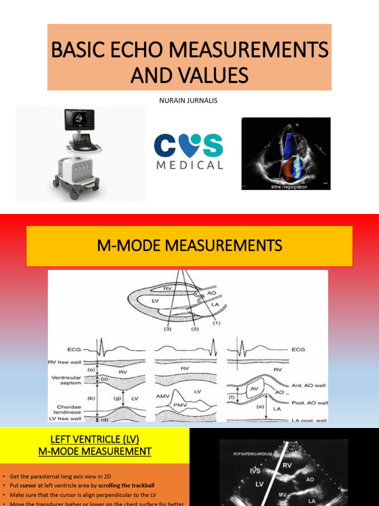 Basic Echo Measurement and Values | Download Free PDF | Ventricle (Heart) | Heart Valve