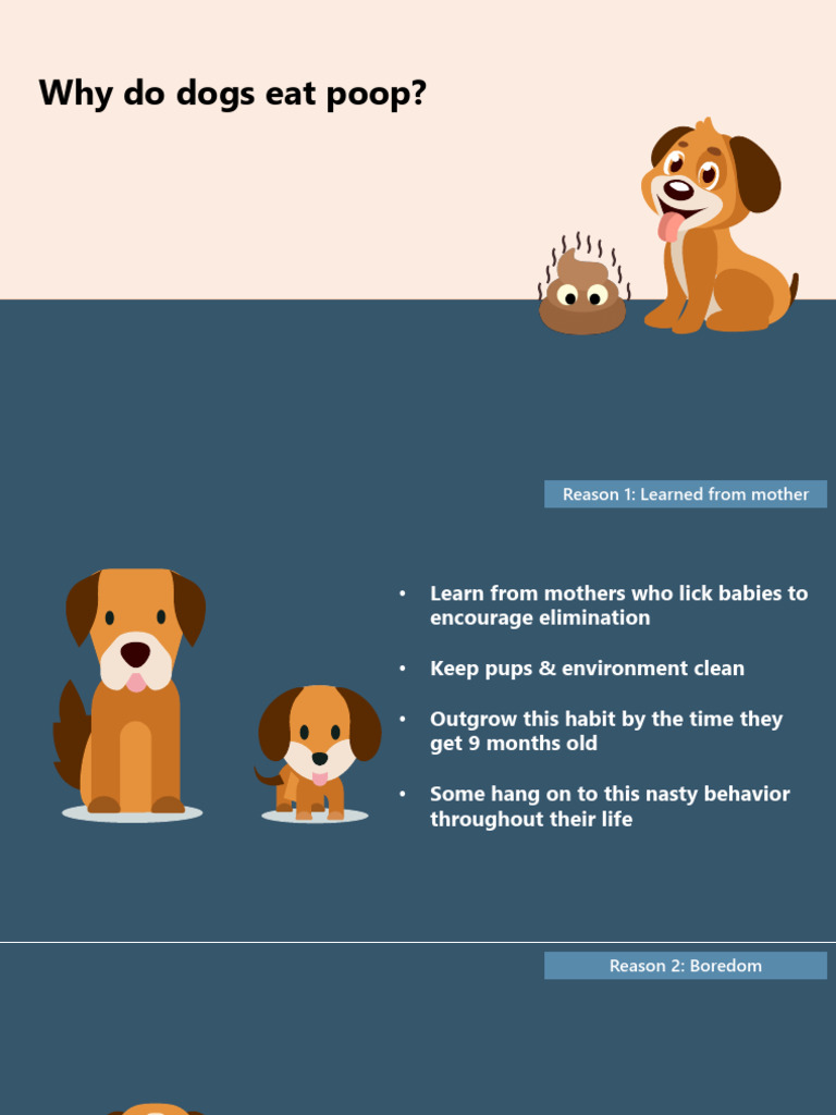 Eating Poop | Download Free PDF | Feces | Foods