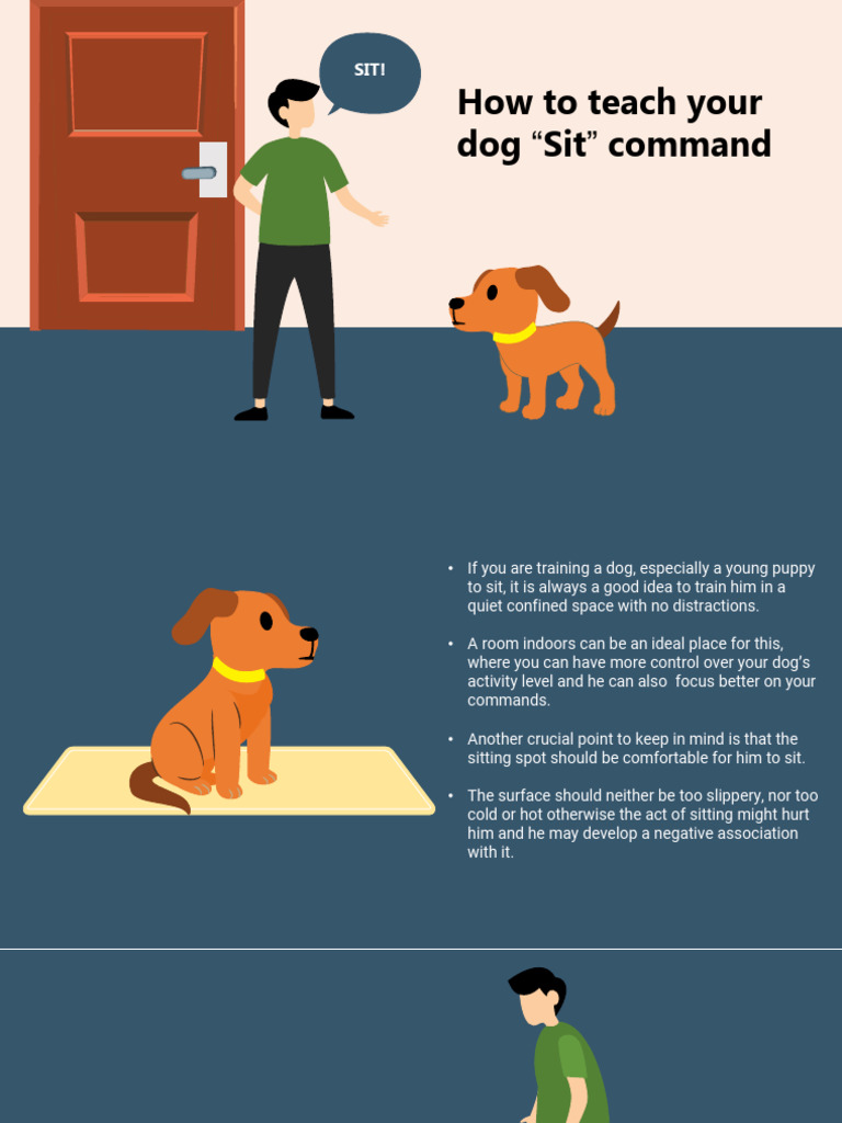 Training Guide - Sit Command | Download Free PDF | Dogs