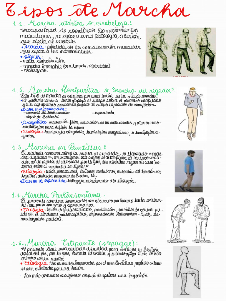 Tipos de Marcha Semiología - 240415 - 121952 | PDF