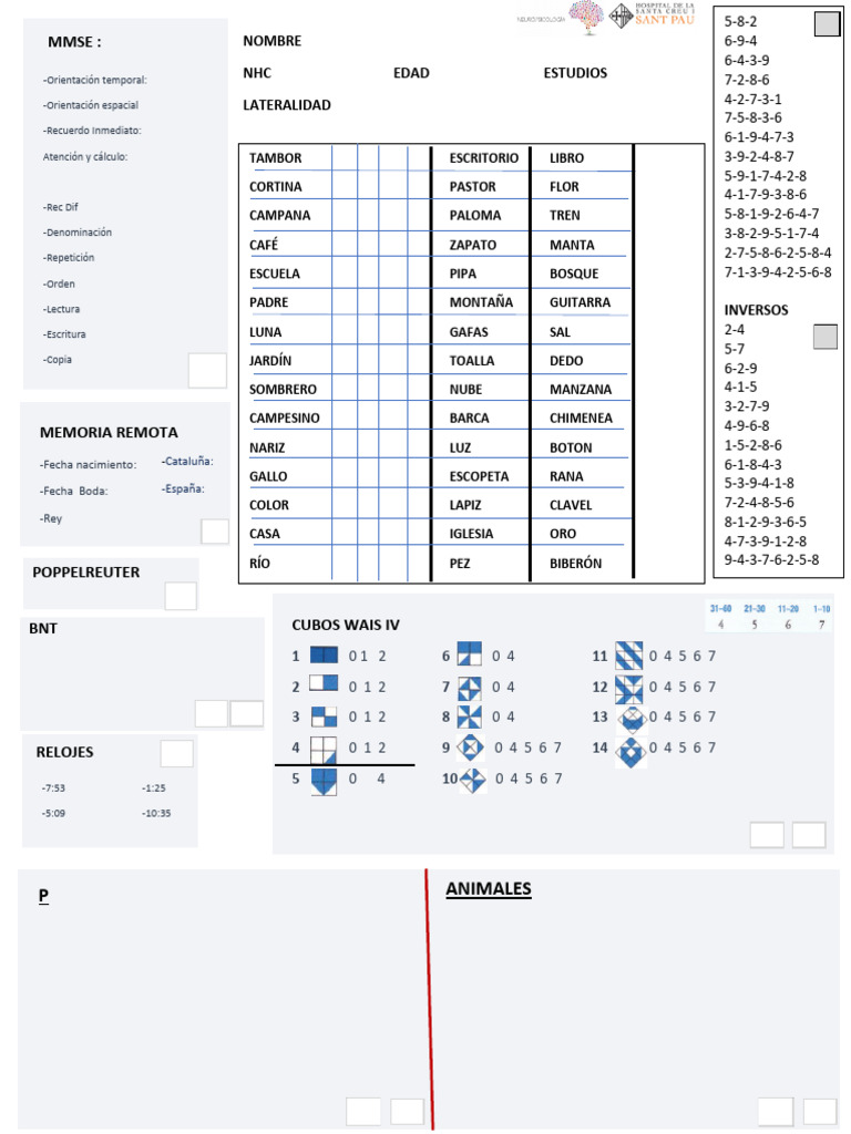 Protocolo Basico | PDF