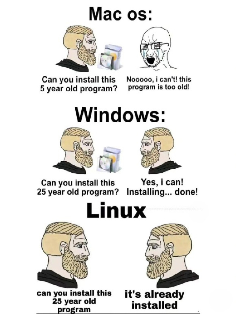 OS Comparison Meme | PDF