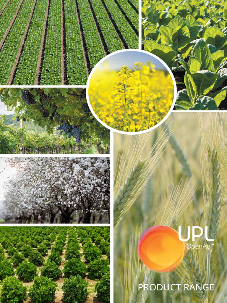 Upl Product Brochure | Download Free PDF | Herbicide | Wheat