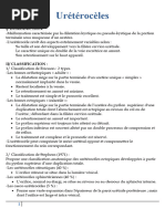 Syndrome de la Jonction Pyelo-Uréterale | PDF | Rein | Spécialités ...