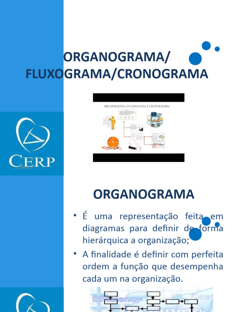Organograma, Fluxograma e Cronograma | PDF