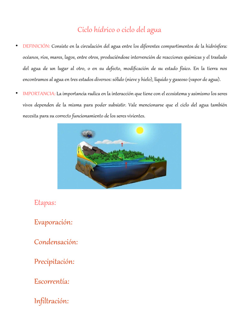 Definición de Ciclos Biogeoquímicos | PDF | El ciclo del agua | Agua