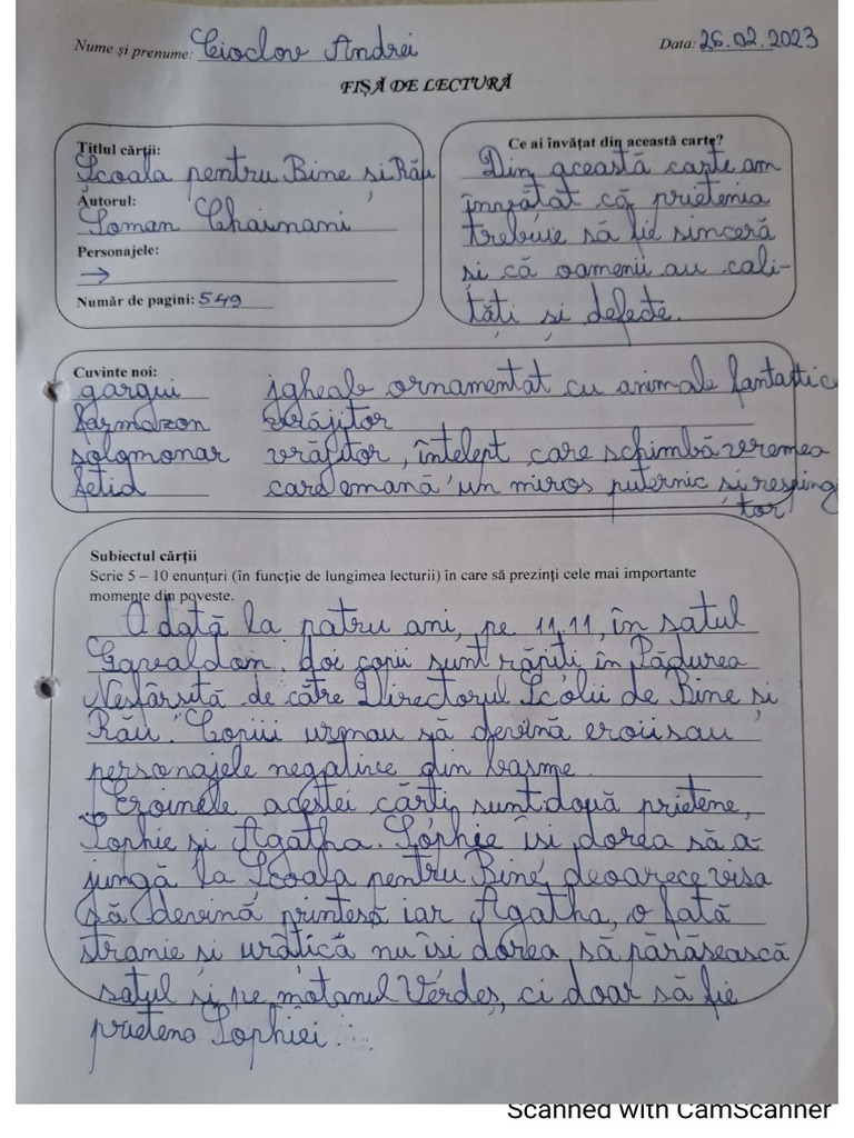 Scoala Pentru Bine Si Rau | PDF