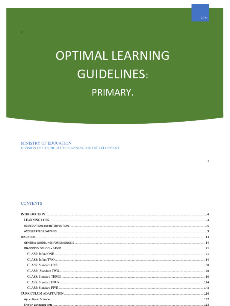 Optimal Learning Guidelines Primary School - PDF Version 1 | PDF ...