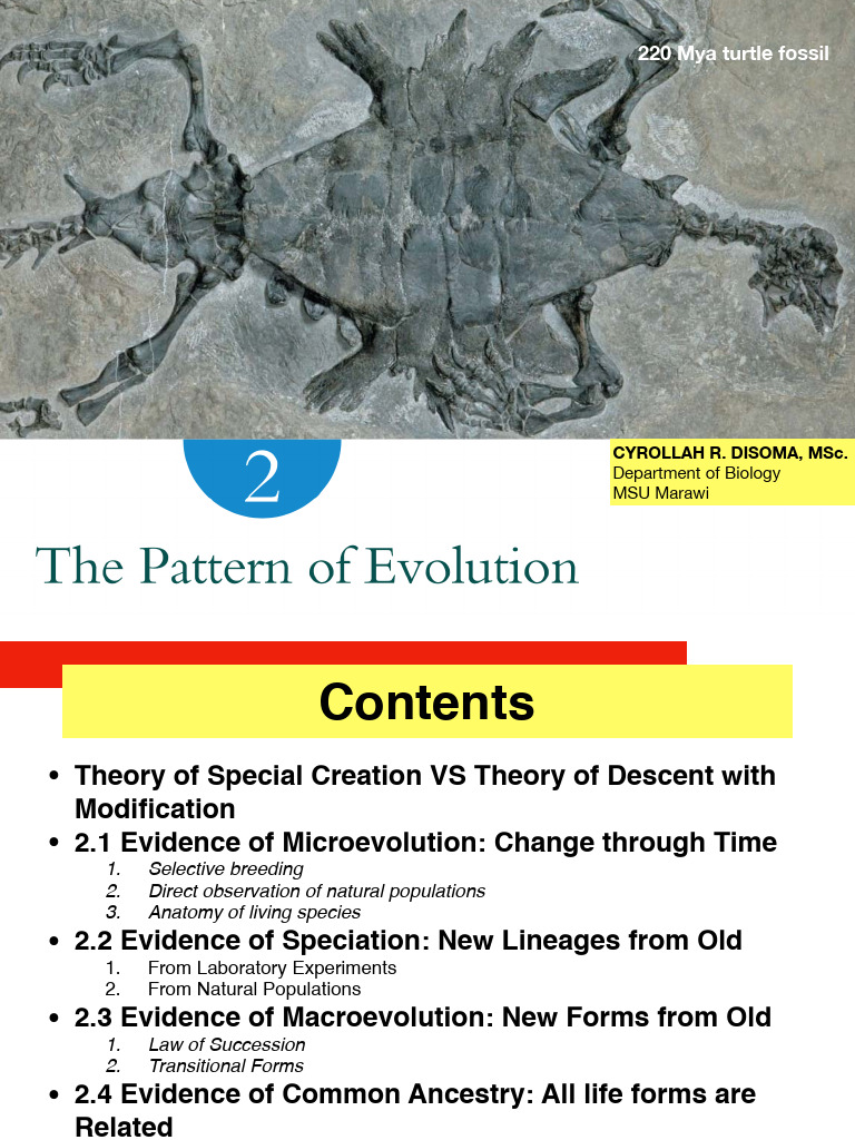 Bio 110 Prelim Lec 4 Chap 2 | PDF | Homology (Biology) | Gene